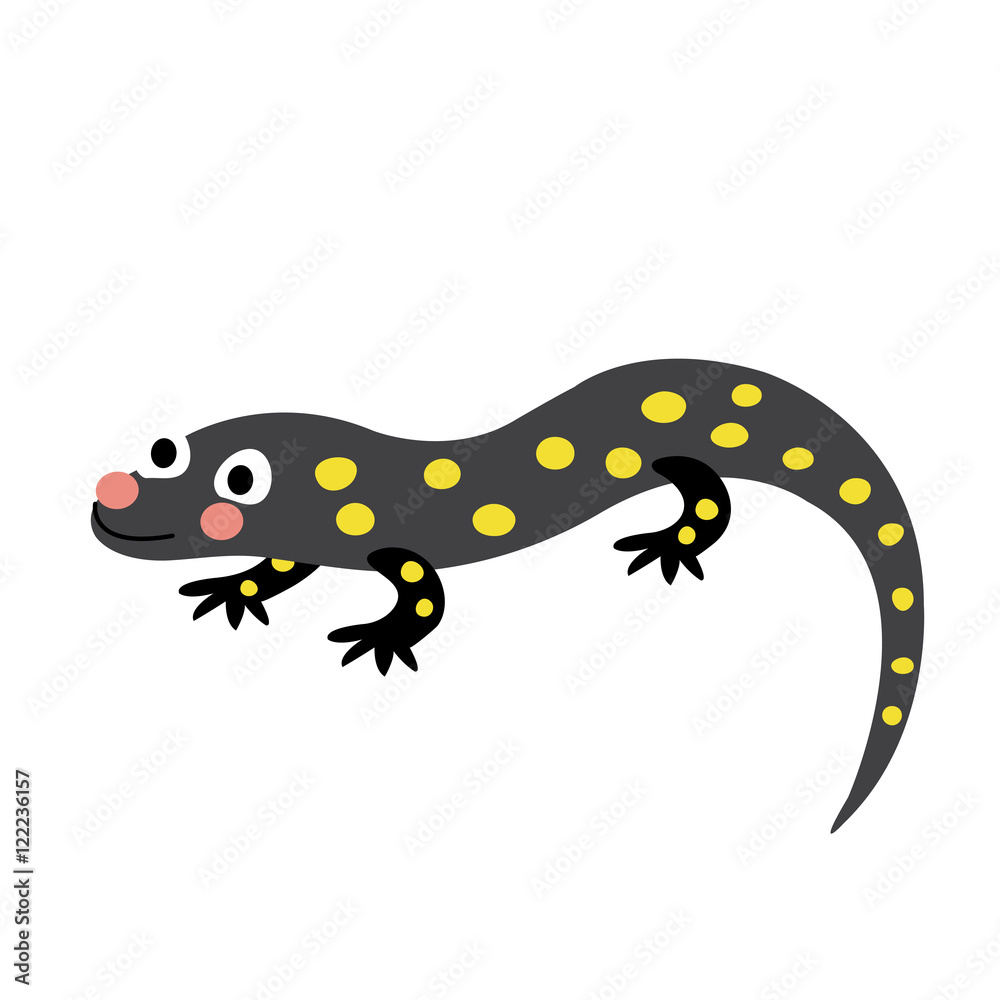 Salamander animal cartoon character. Isolated on white background ...
