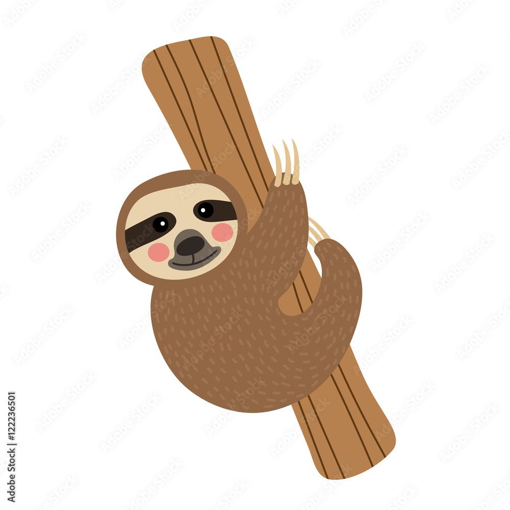 Three Toed Sloth Drawing