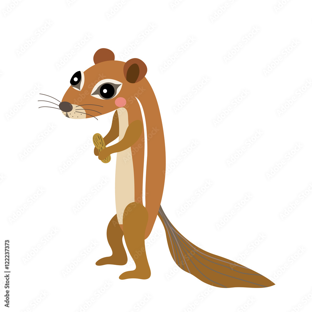 Xerus African ground squirrel holding nut animal cartoon character ...
