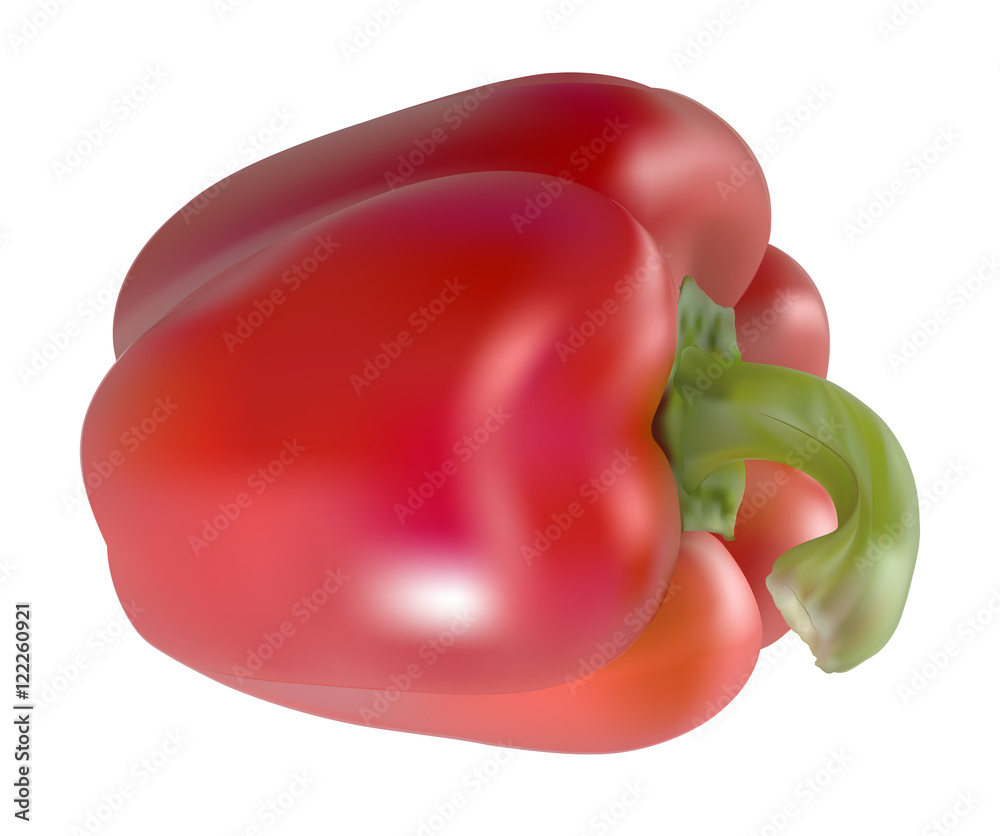 Pepper - An illustration of a red pepper, using a gradient mesh ...