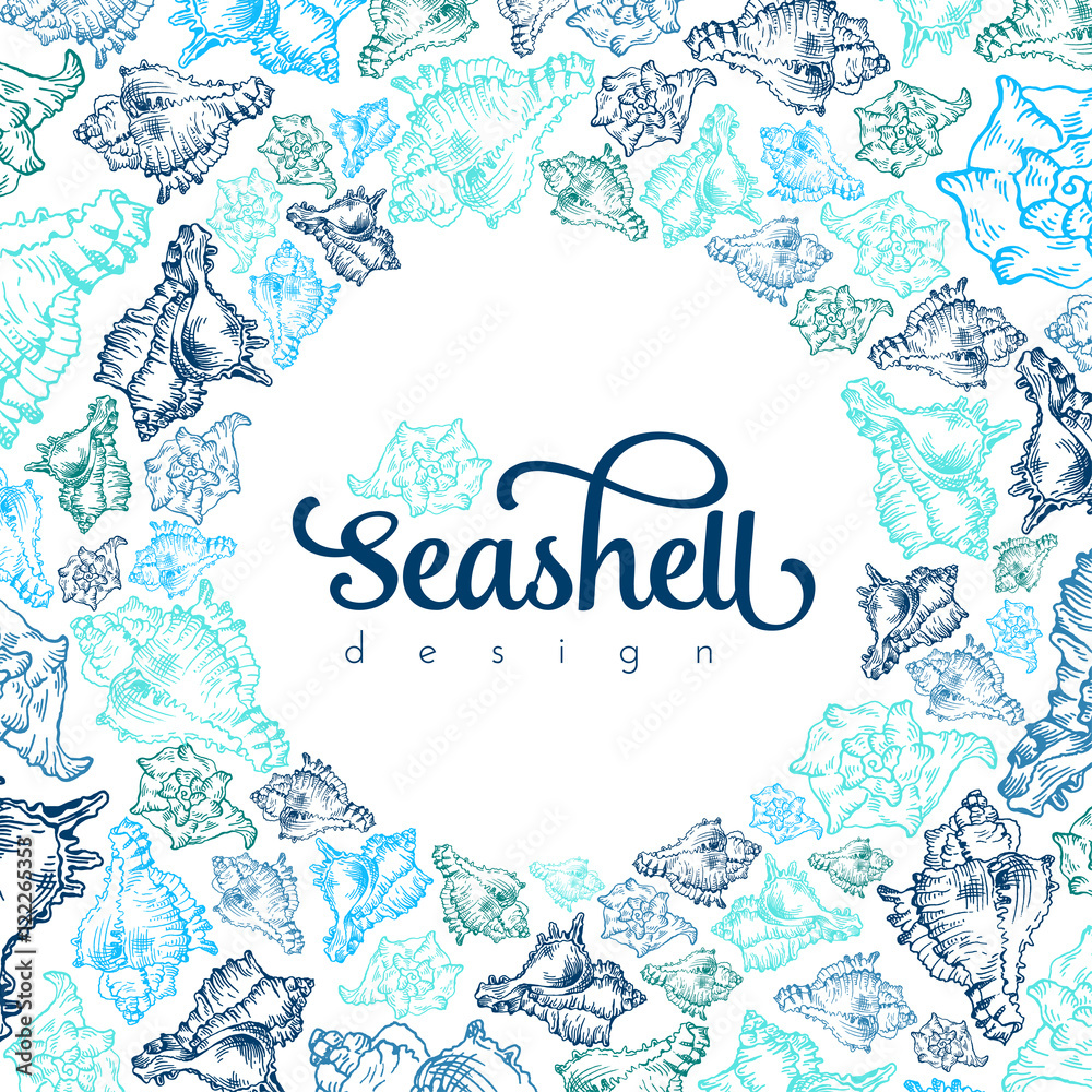 Sketch seashell card template background. Vector illustration for your design Stock Vector ...