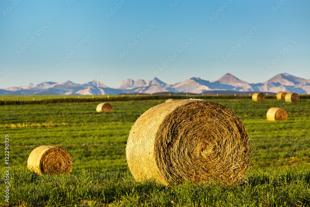 Green Hay Bales