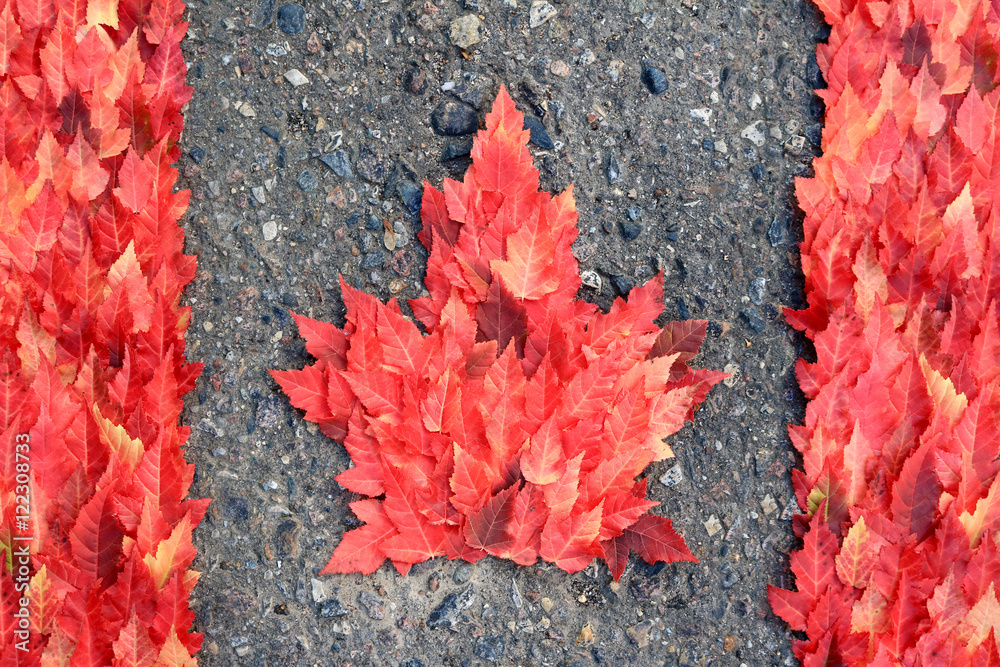 Real Canadian Maple Leaf