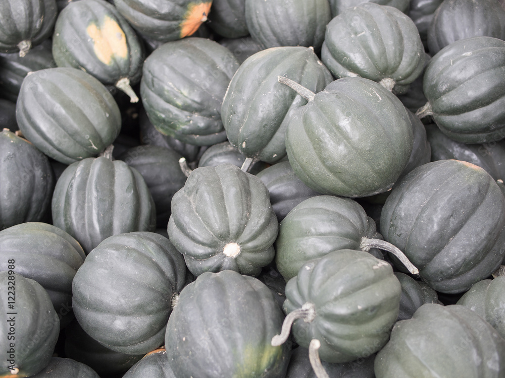 Harvest: Heap of Acorn Squash, Cucurbita pepo var. turbinata Stock ...