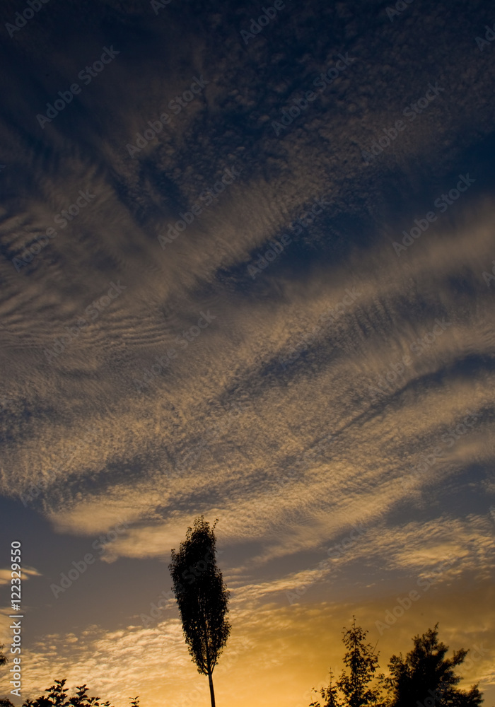 Der Wind Stock-Foto | Adobe Stock