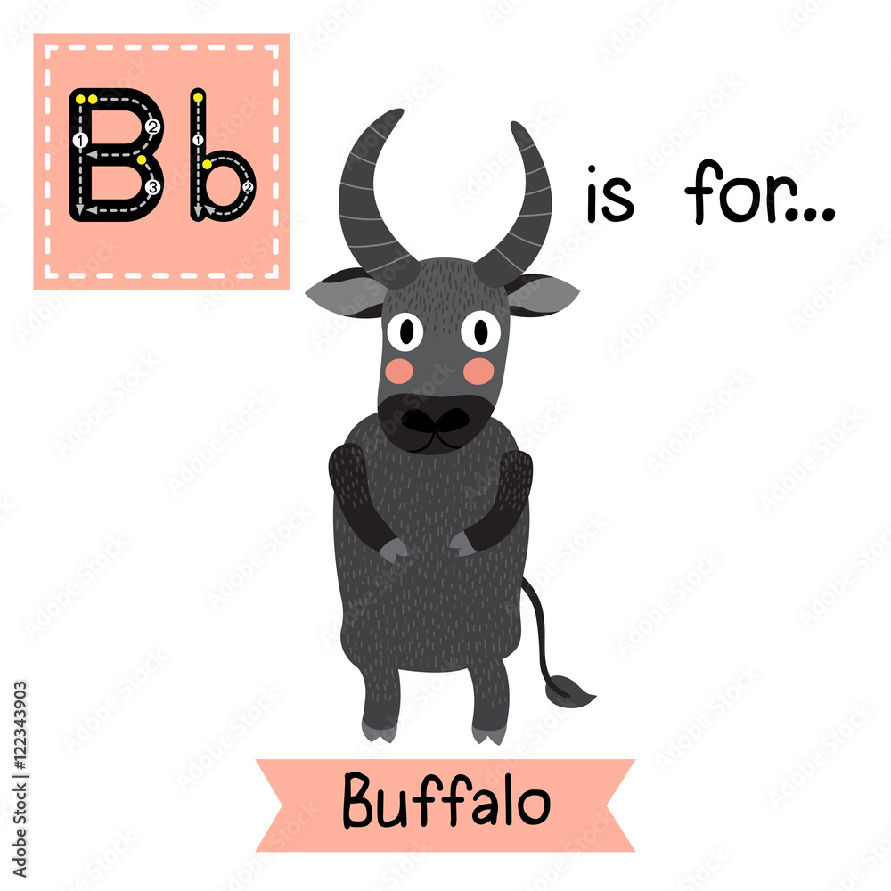 B letter tracing. Buffalo standing on two legs. Cute children zoo ...