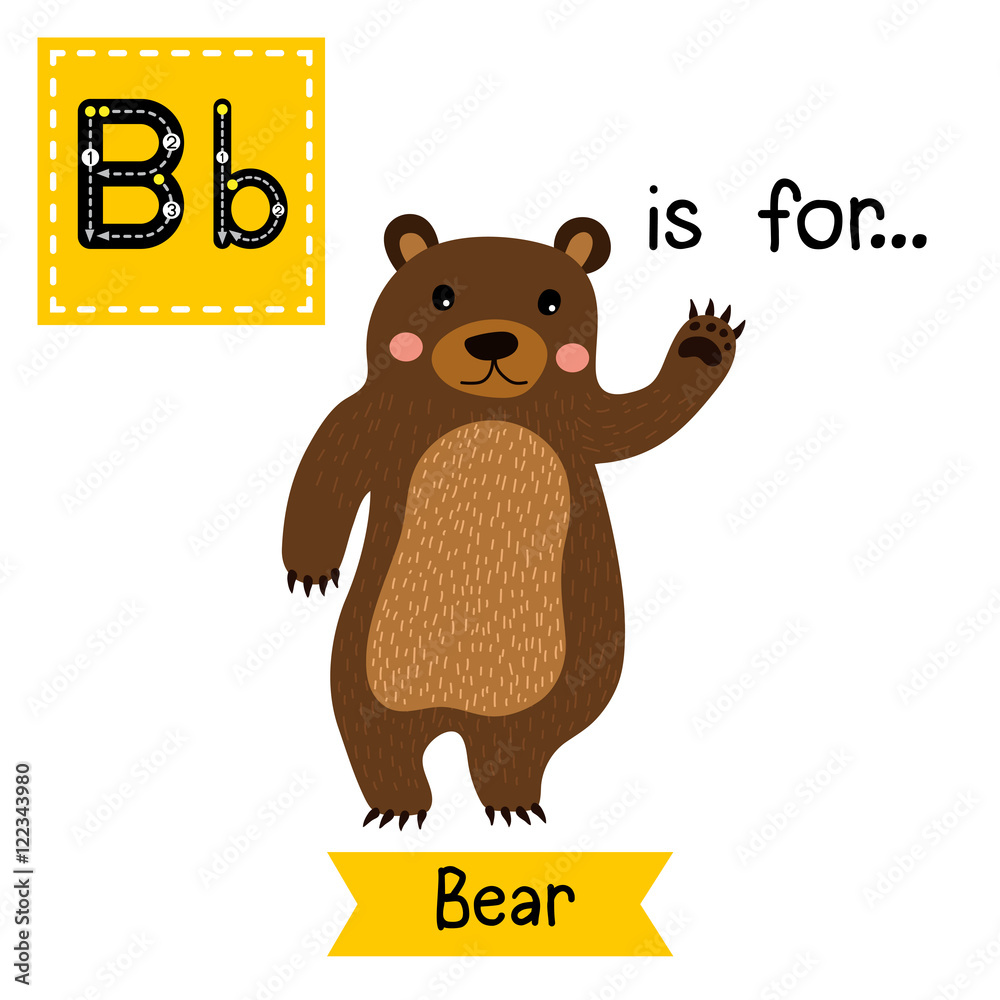 B letter tracing. Standing Bear raising hand. Cute children zoo alphabet flash card. Funny ...