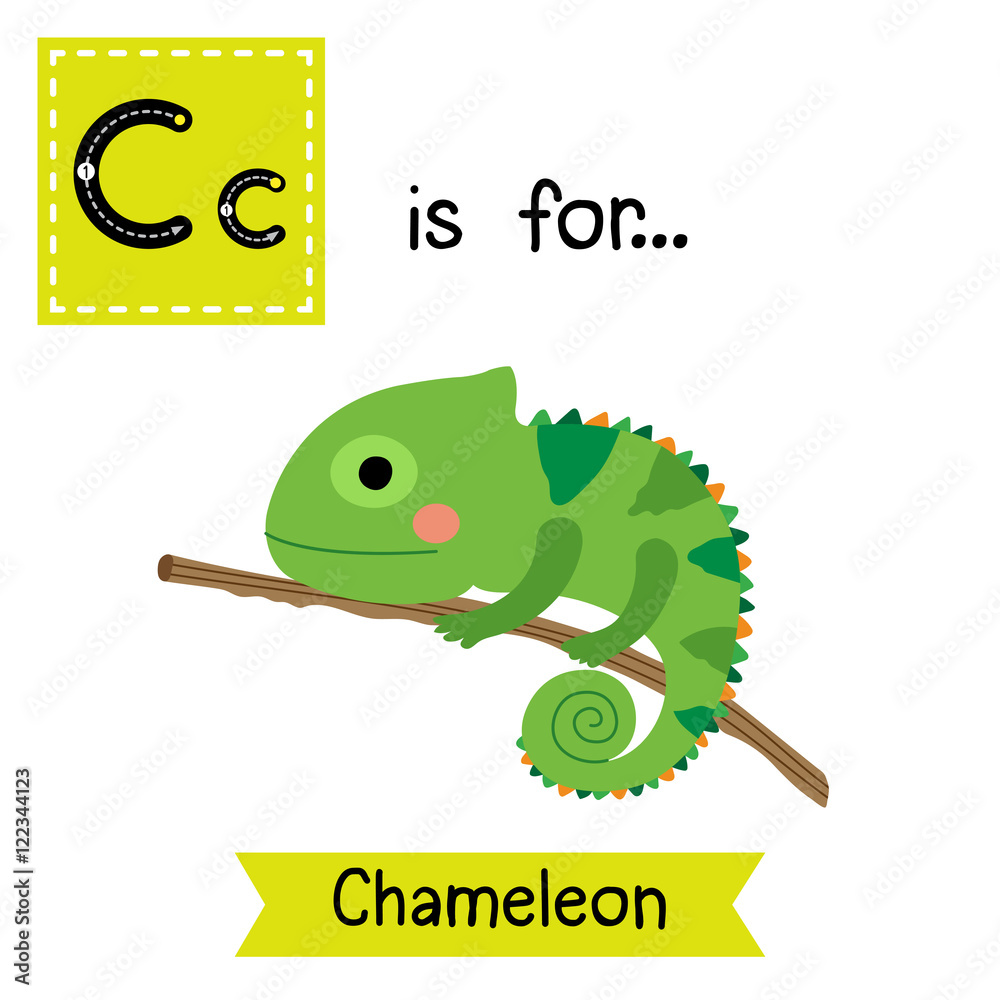C letter tracing. Chameleon climbing on branch. Cute children zoo ...
