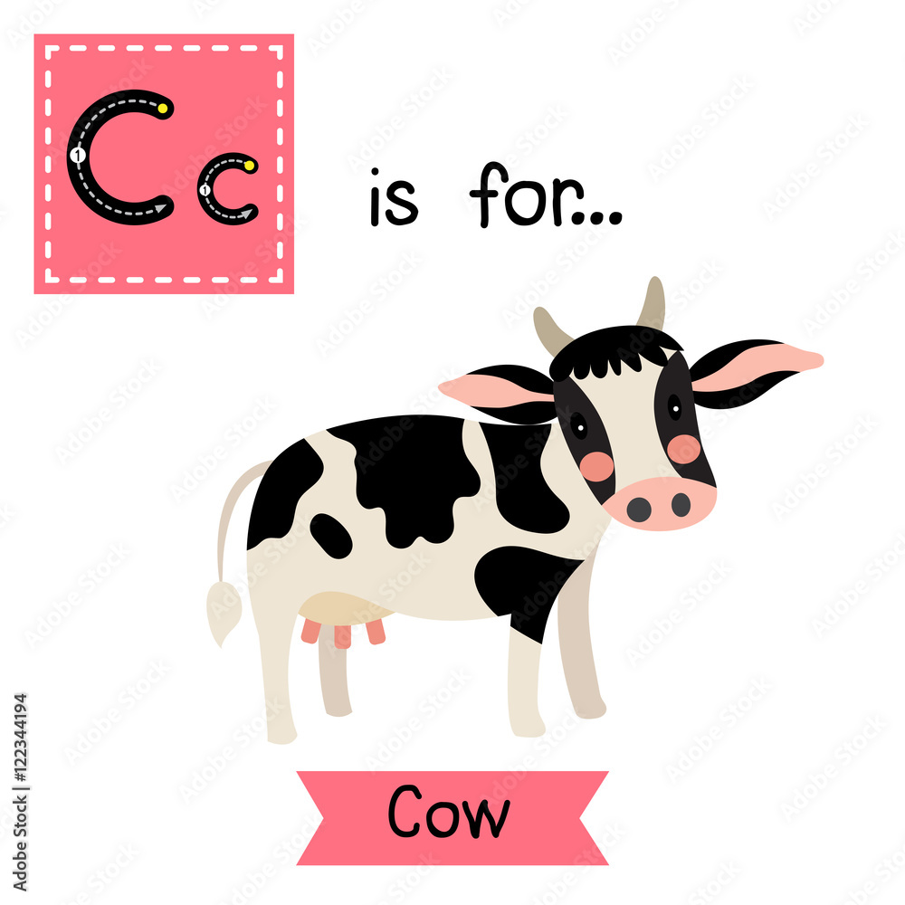 C letter tracing. Happy Holstein Cow. Cute children zoo alphabet flash ...