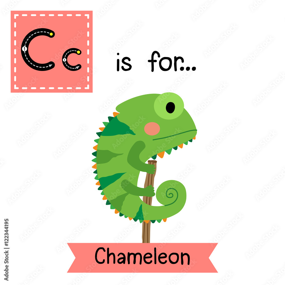 C letter tracing. Green Chameleon. Cute children zoo alphabet flash ...