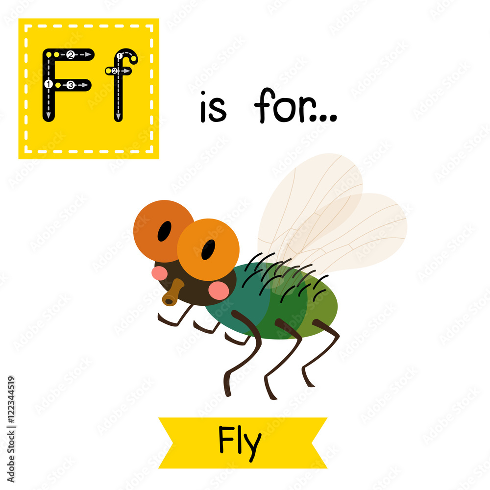 F letter tracing. Fly. Cute children zoo alphabet flash card. Funny ...
