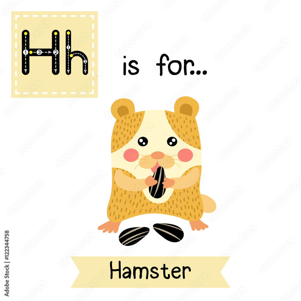 H letter tracing. Hamster eating sunflower seeds. Cute children zoo ...