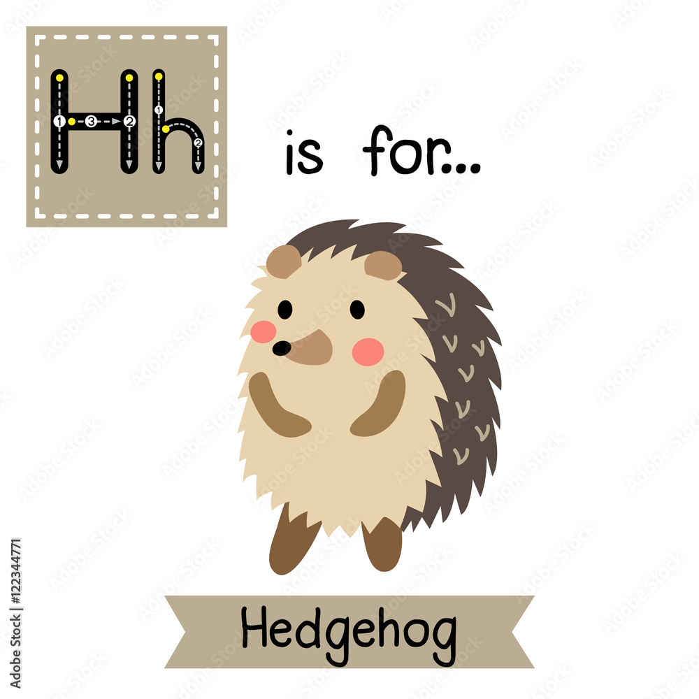 H letter tracing. Hedgehog standing on two legs Cute children zoo ...