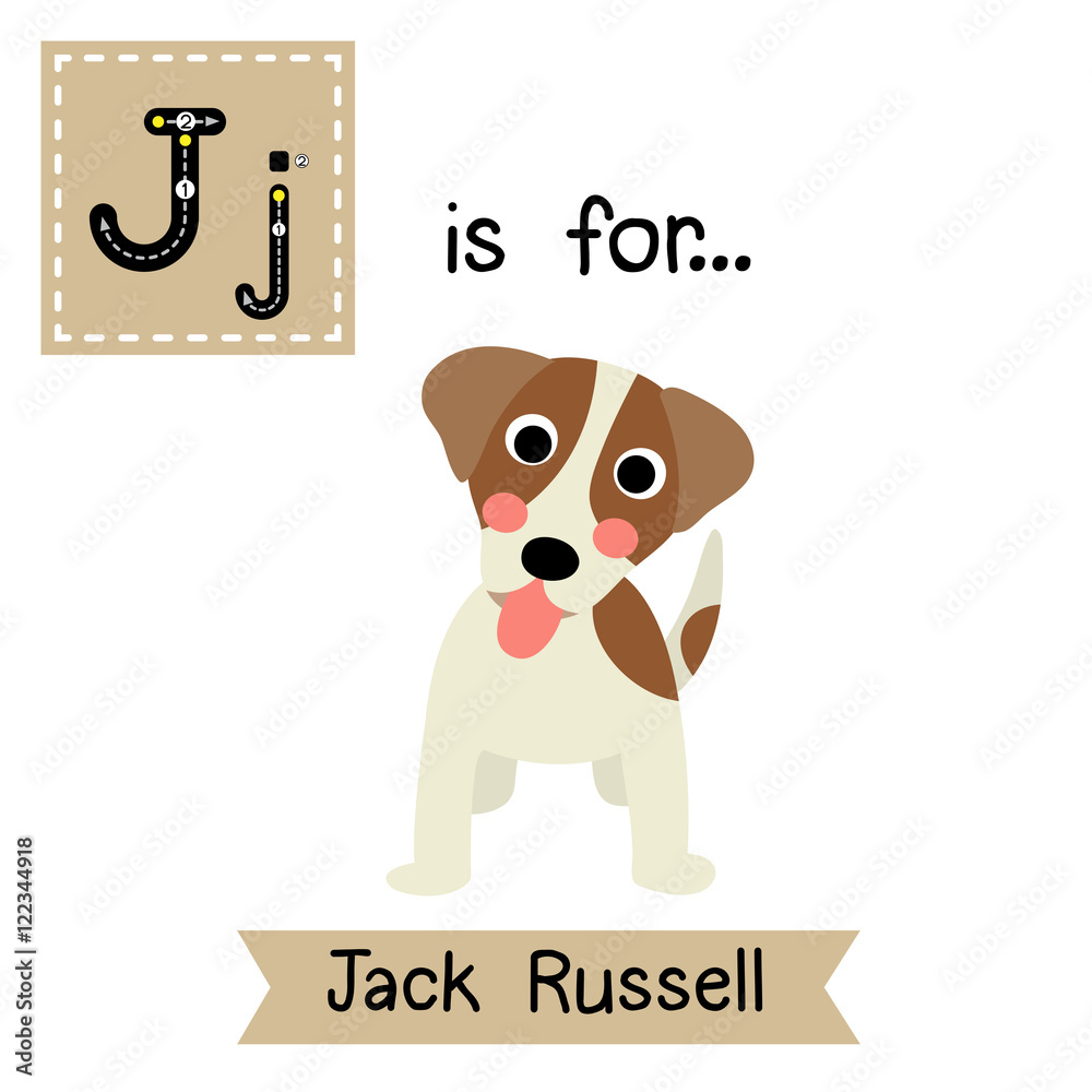 J letter tracing. Jack Russell Terrier dog. Cute children zoo alphabet ...