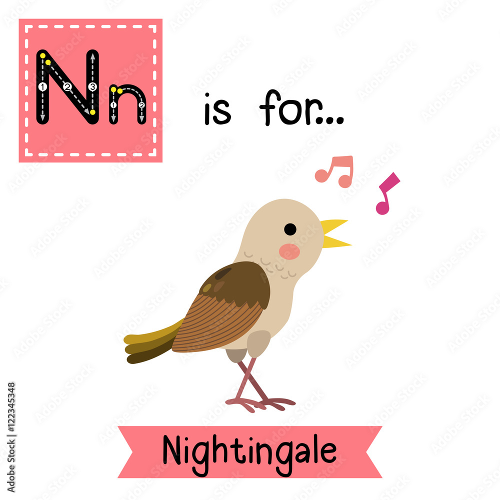 N letter tracing. Singing Nightingale bird. Cute children zoo alphabet ...