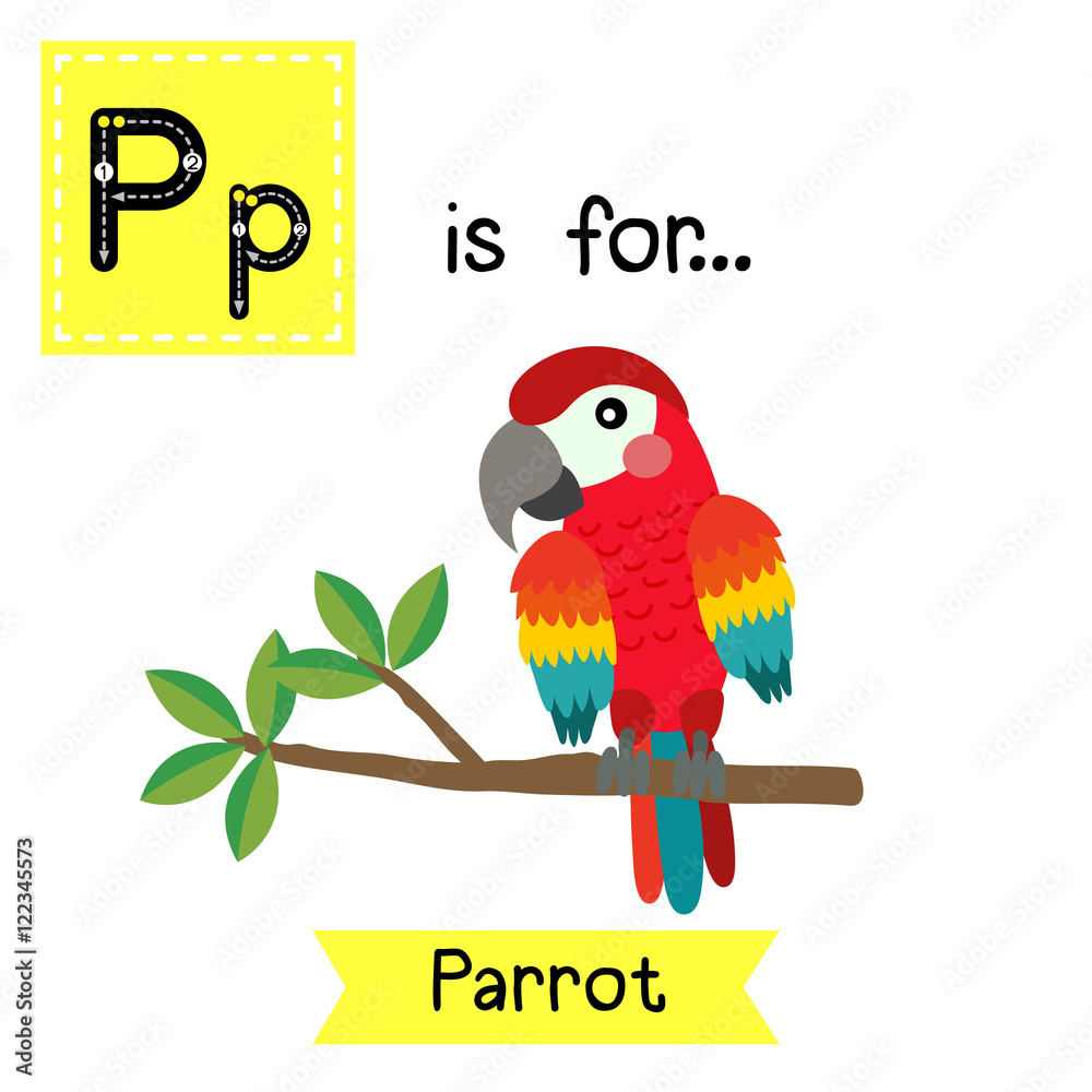 P letter tracing. Red Parrot bird. Cute children zoo alphabet flash ...