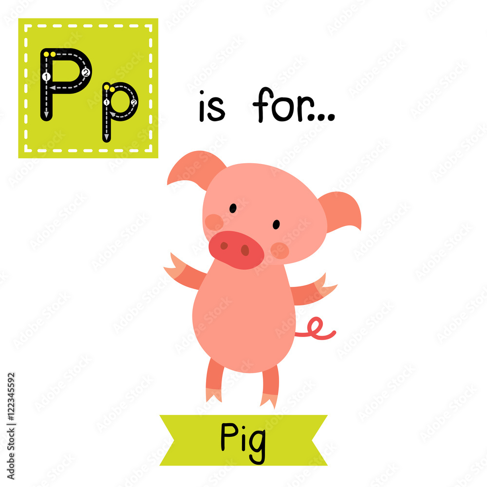 P letter tracing. Standing Pig. Cute children zoo alphabet flash card ...