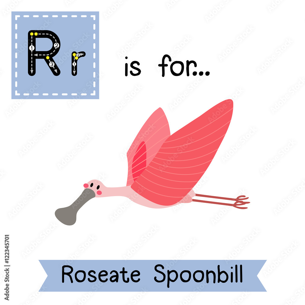 R letter tracing. Flying Roseate Spoonbill bird. Cute children zoo ...
