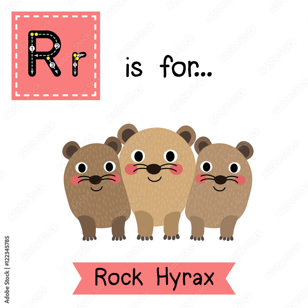 R letter tracing. Rock Hyrax family. Cute children zoo alphabet flash ...