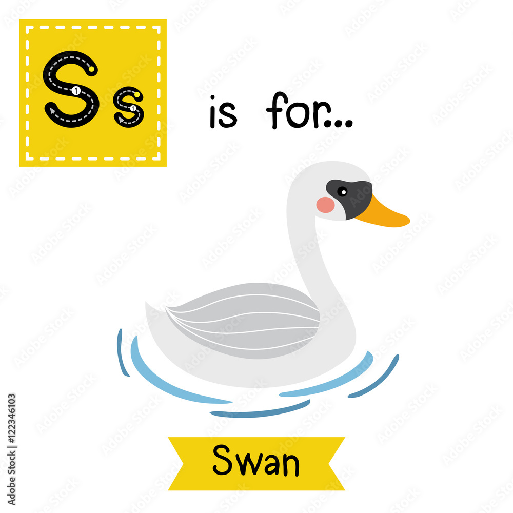 S letter tracing. Swan on blue lake water. Cute children zoo alphabet ...