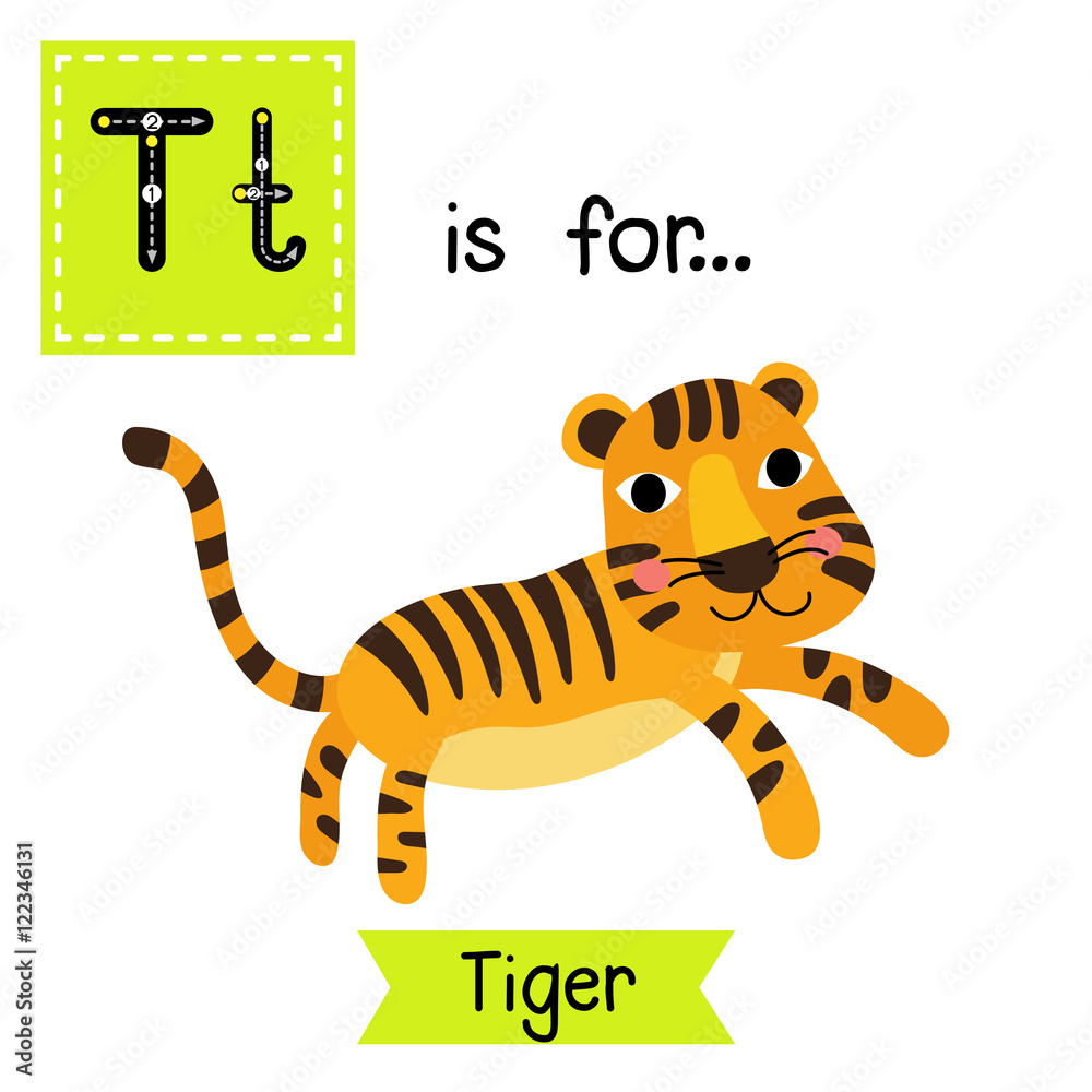 T letter tracing. Standing Tiger. Cute children zoo alphabet flash card ...