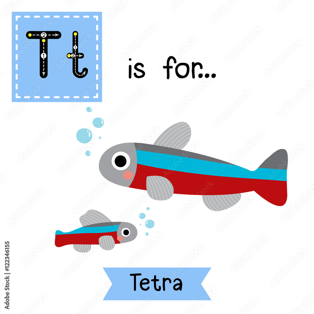 T letter tracing. Tetra fish. Cute children zoo alphabet flash card ...