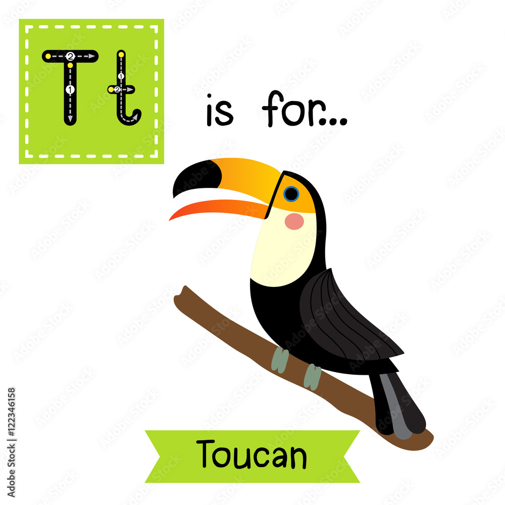 T letter tracing. Toucan bird perched on the branch. Cute children zoo ...