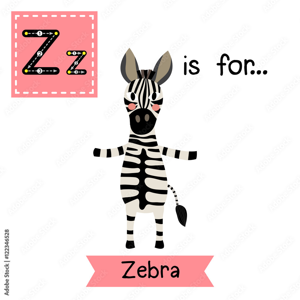 Z letter tracing. Zebra standing on two legs. Cute children zoo ...
