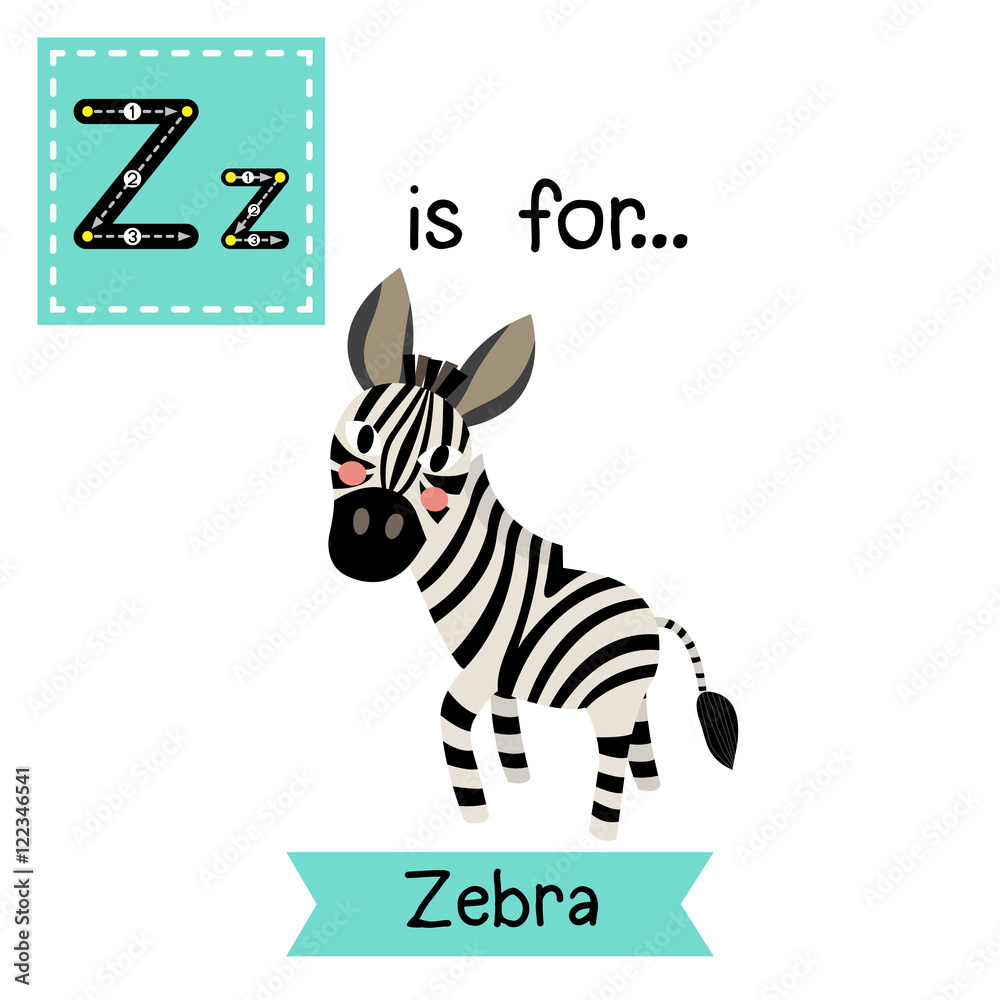 Z letter tracing. Zebra. Cute children zoo alphabet flash card. Funny ...