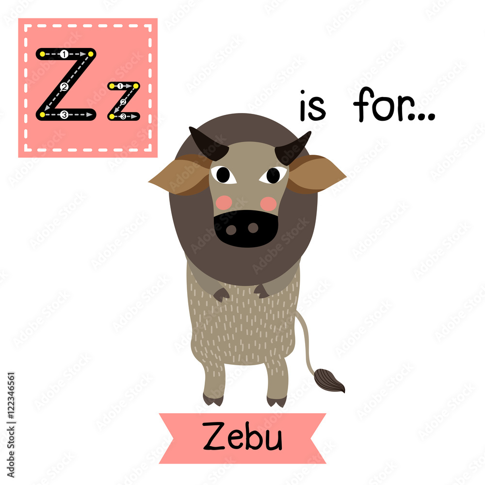 Z letter tracing. Zebu standing on two legs. Cute children zoo alphabet ...