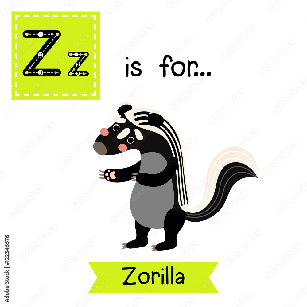 Z letter tracing. Zorilla. Cute children zoo alphabet flash card. Funny ...