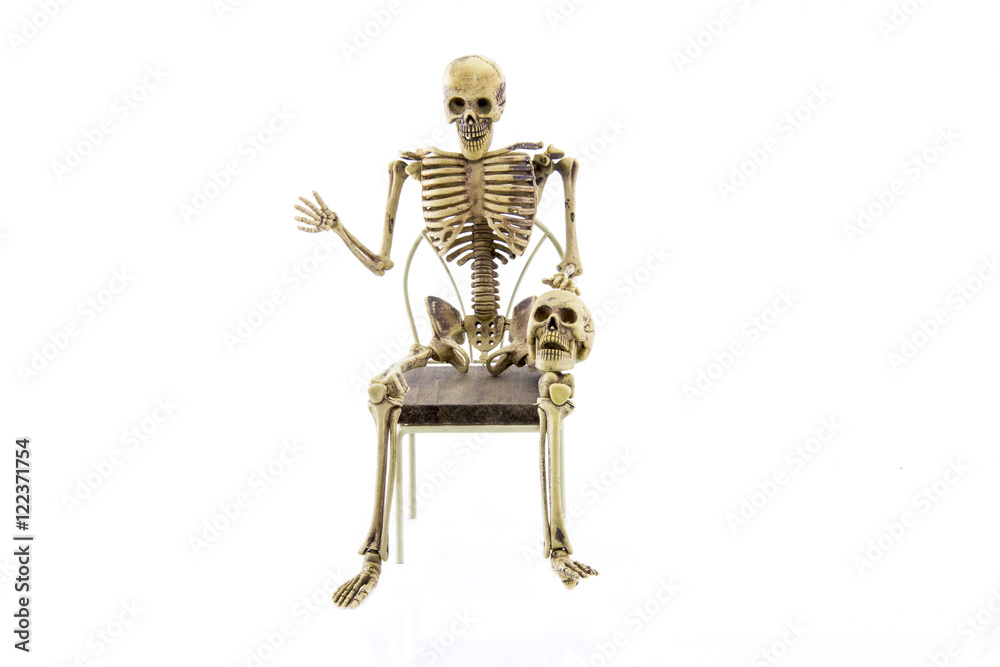 anatomy skeleton sit on the chair isolated Stock Photo | Adobe Stock