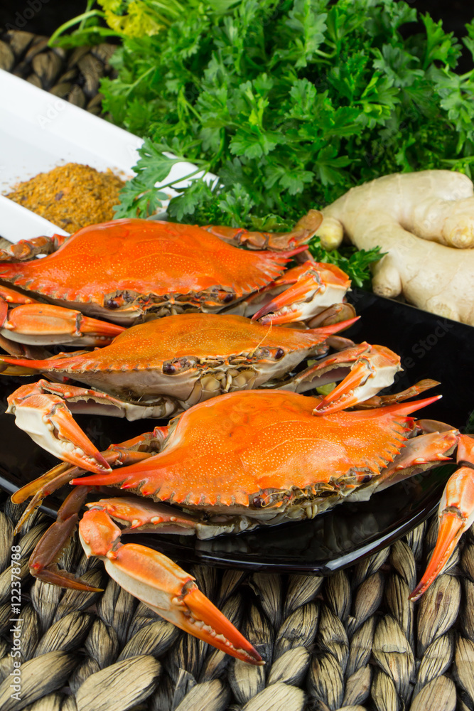 Steamed crabs with spices. Maryland blue crabs. Hot steamed blue crabs ...