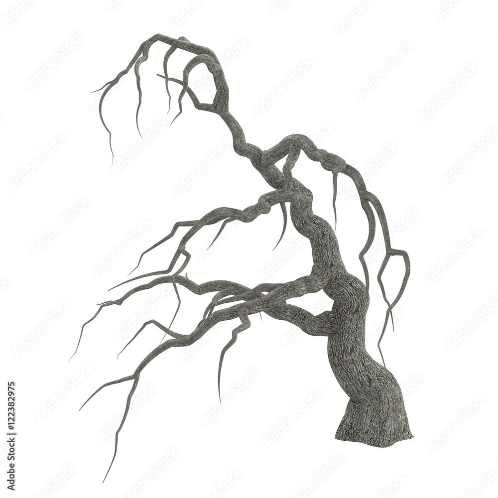Spooky Halloween tree with long bare branches isolated on white ...