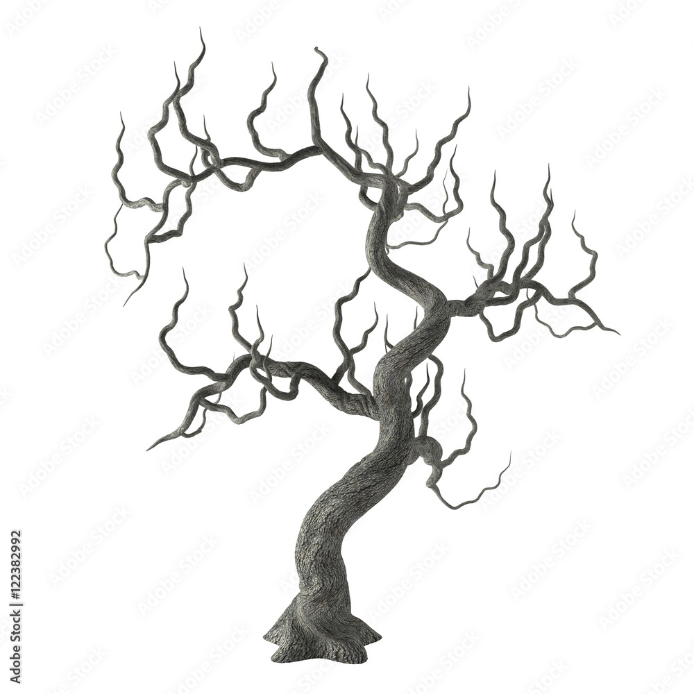 Spooky gnarled Halloween tree with long bare branches isolated on white ...