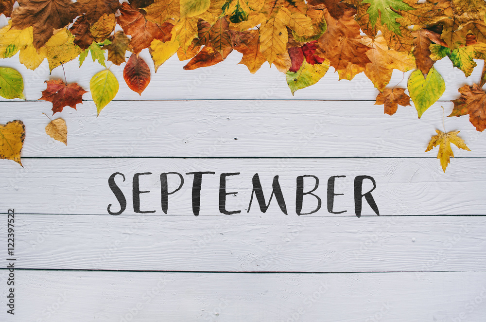 September handwritten modern calligraphy on colorful autumn dry leaves ...