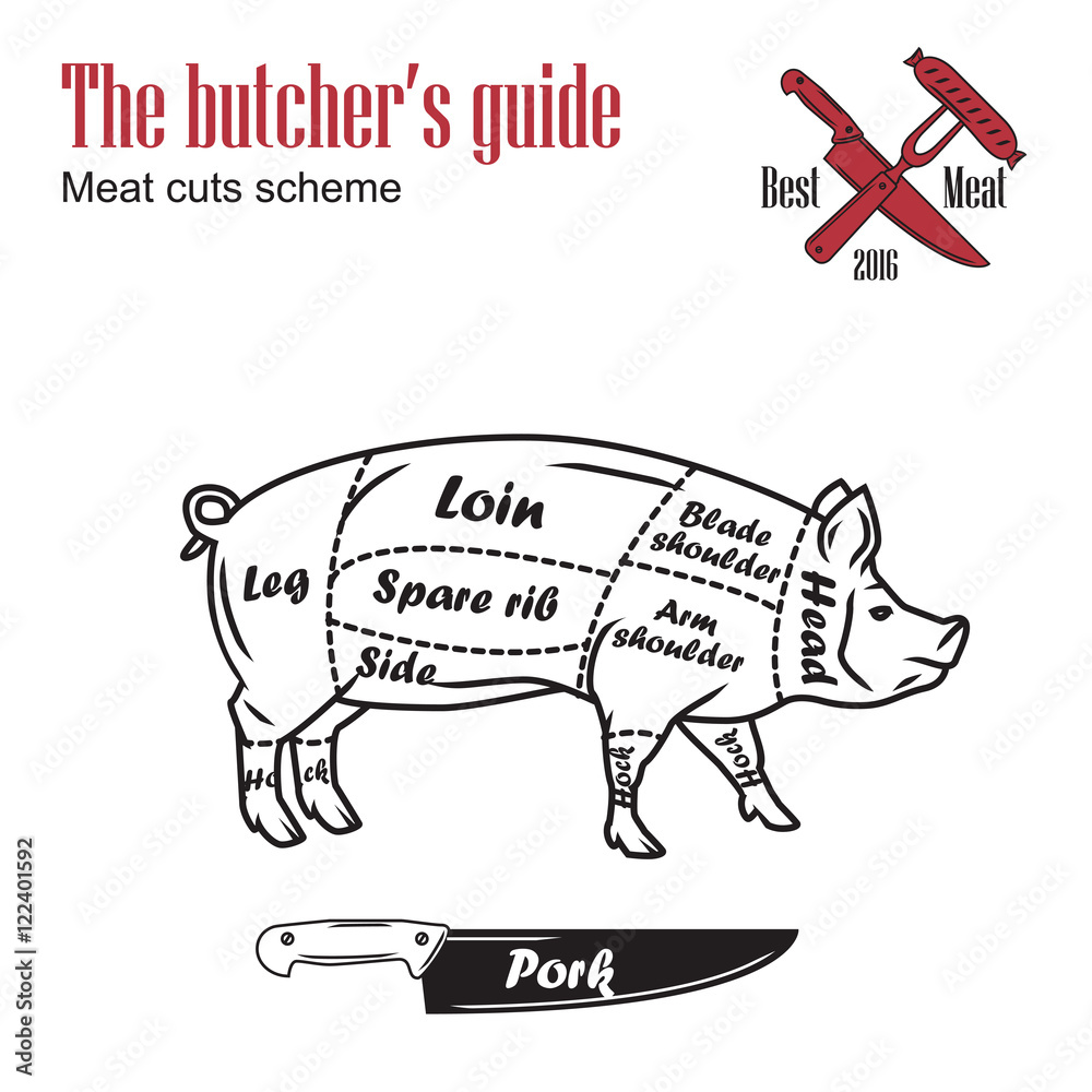 Butcher guide vector illustration. Cut scheme pork. Pig meat vintage ...