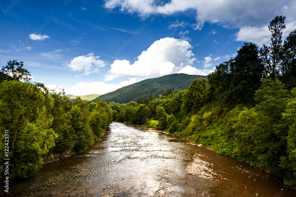 Beautiful view of river in Ukrainian Carpathians. Stock Photo | Adobe Stock