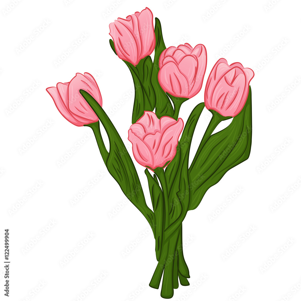 Vector cartoon pink tulips Stock Vector | Adobe Stock
