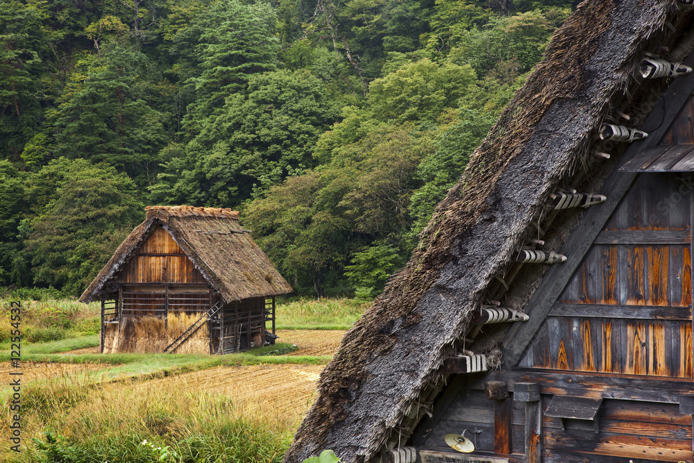 A UNESCO World Heritage Site, the historic village of Shirakawa-go in ...