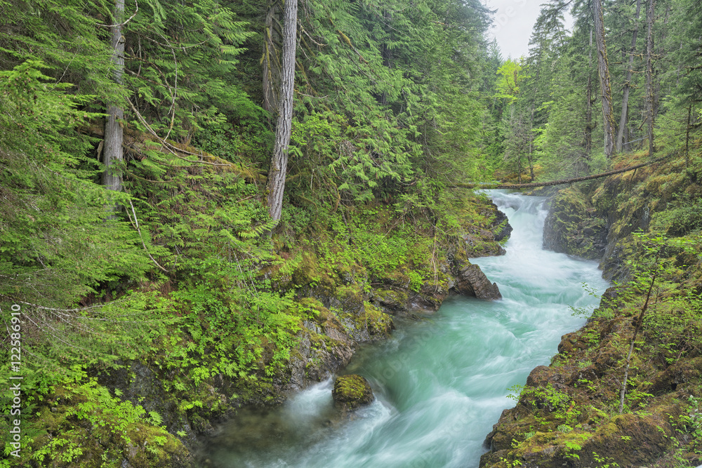 The Little Qualicum Rivers and its aquamarine coloured water flows ...
