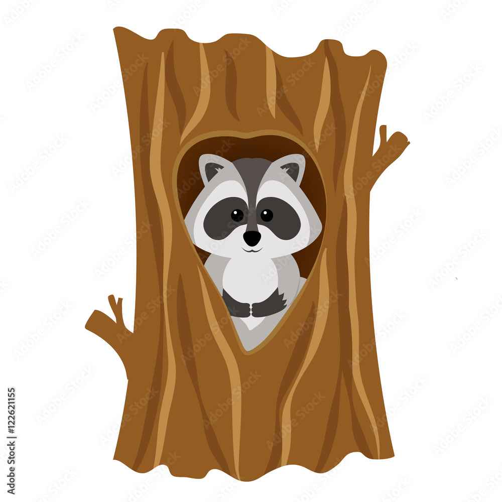Funny raccoon inside tree in hollow, isolated on white background ...