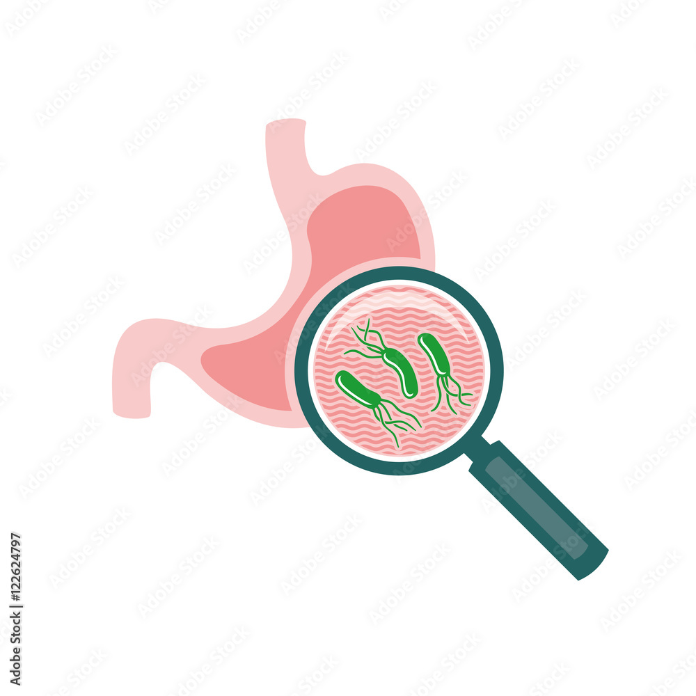 Helicobacter pylori bacteria stomach research illustration. Stock ...