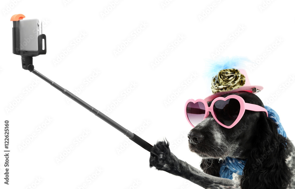 Funny Dog Selfies