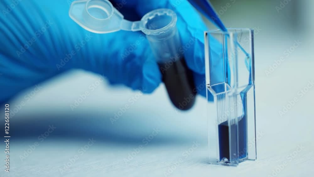 Sample filling in spectrophotometer cuvettes for analysis, close up ...