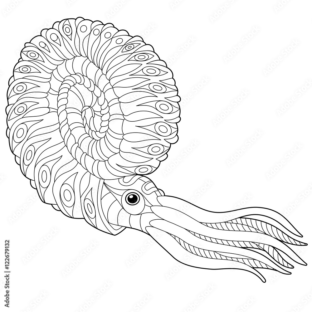 Stylized tropical calamari (squid, nautilus), isolated on white ...