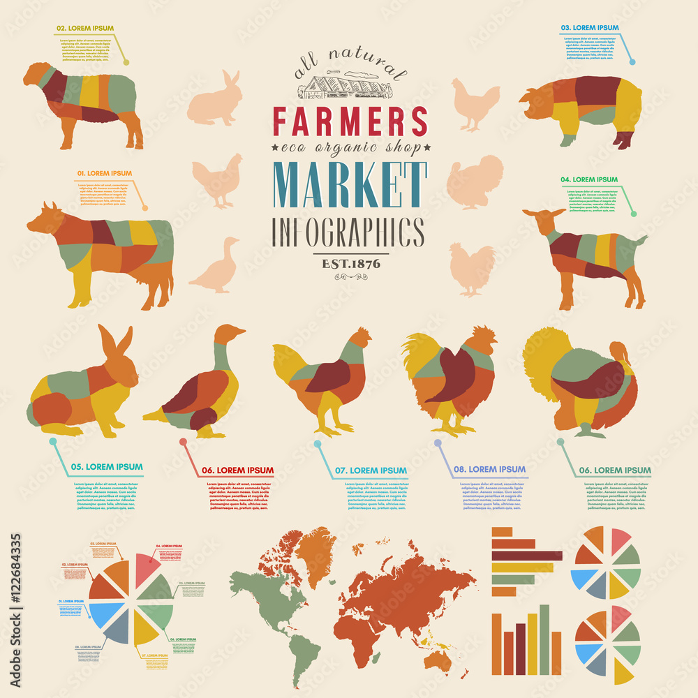 Farm infographics farm animals chickens, cows, sheep, goats Stock ...