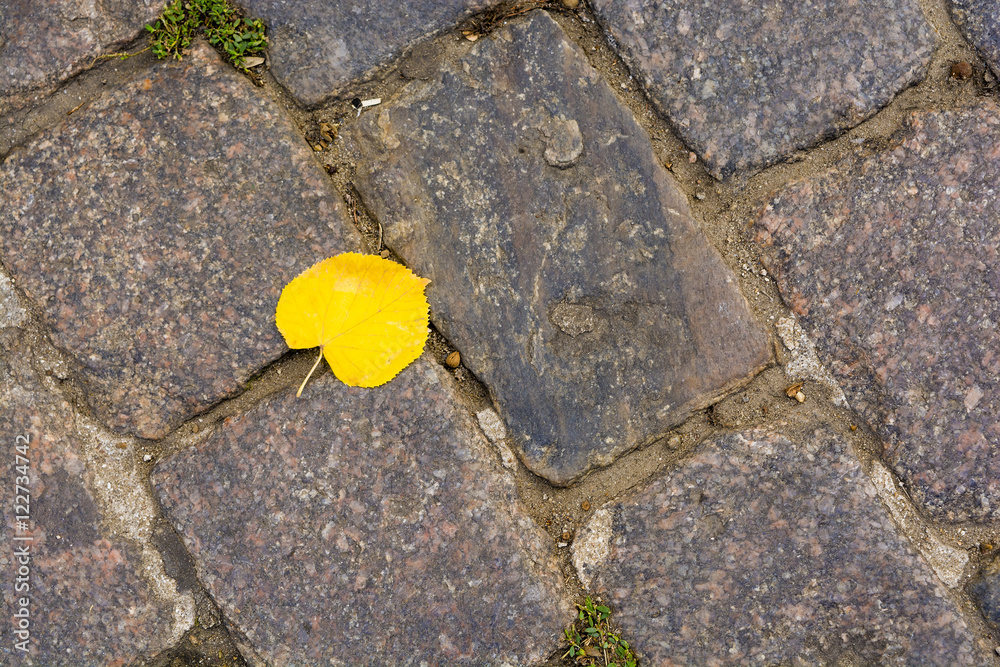leaf fall. yellow leaf. autumn. paving stone background. relief texture ...