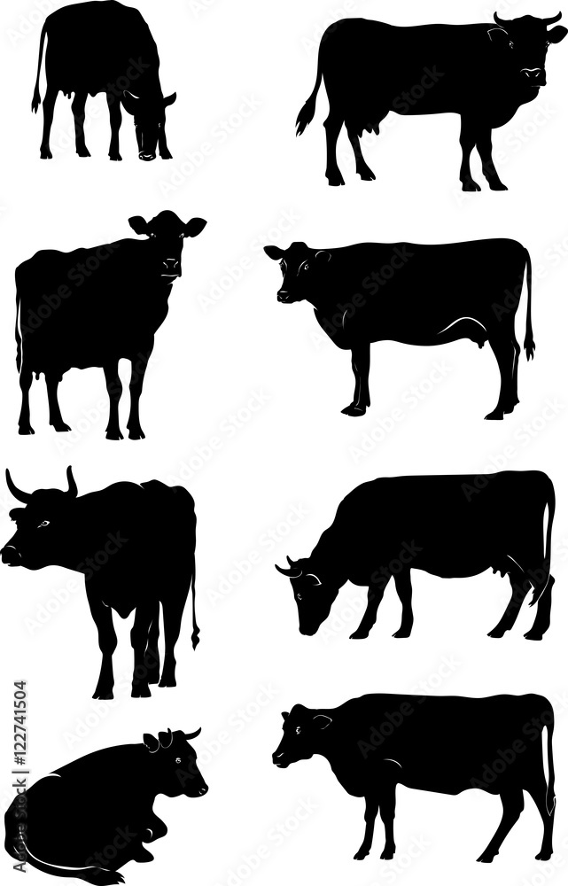 cow, vector, silhouette, animals, design Stock Vector | Adobe Stock