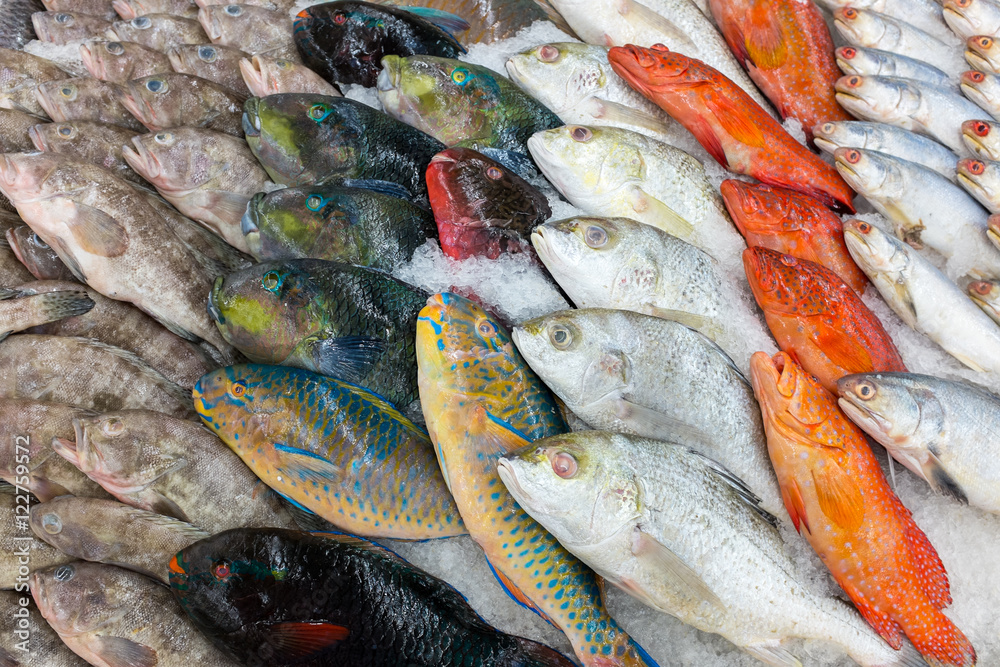 various fishes at the thailand fish market of samui island Stock Photo ...
